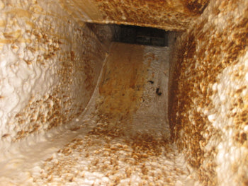 Zep Super Doug - Understanding the Ingredients – Bryan Exhaust Service ...