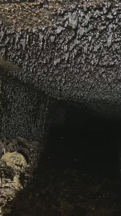 The Terminator 2 - 4” Hard Carbon Steel Grease Scraper – Bryan Exhaust ...